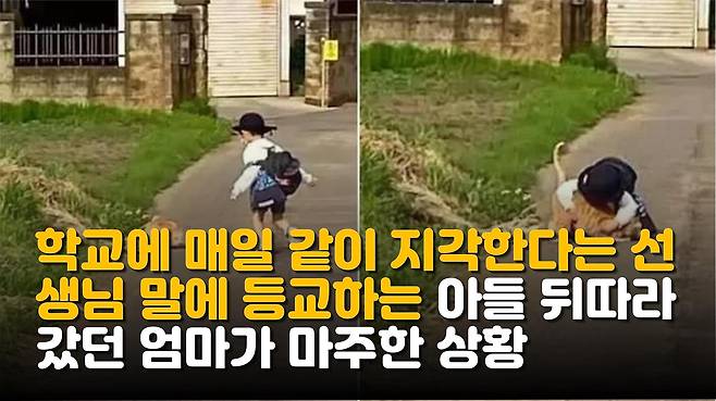 아기가 하이파이브 해주자 부끄러워 눈도 못 마주치고 고개 숙인 호랑이 애니멀 플래닛
