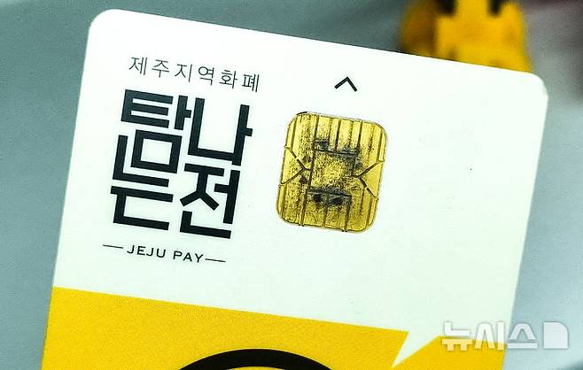 제주 탐나는전 혜택 늘렸더니한달만 499억원 사용 인기