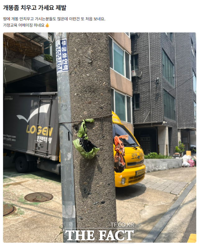 전봇대에 주렁주렁반려견 배설물 무단투기 기승