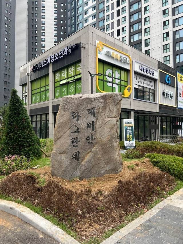 돌 하나에 6000만 원”거대 조경석 때문에 서울 신축 아파트 ‘시끌