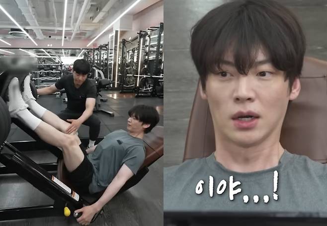 '69kg→81kg' 벌크업 하고 딴 사람 된 배우, 어떻게 몸 키웠나 보니 | 가지뉴스