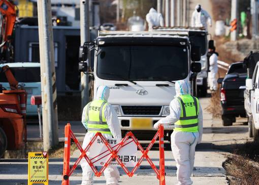 정부 "올겨울 고병원성 AI 바이러스 감염력 10배 강해"