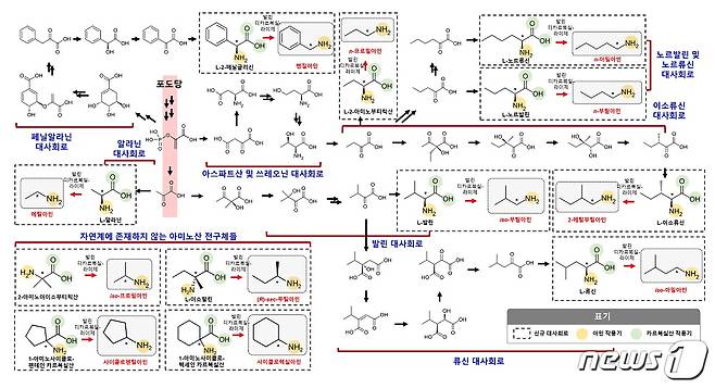 Kaist 미생물 기반 일차 아민 생산 기술 최초 개발