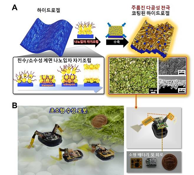 국내 연구진 물속에서 움직이는 초소형 수상로봇 제작사이언스 자매지 게재