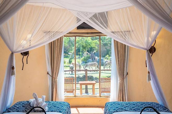 발리 속 작은 아프리카발리에서 만나는 아프리카 사파리 특별한 가족 여행지 추천 이앤투어픽