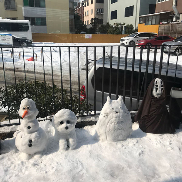 심한 폭설도 즐겁게 이겨내려한 제주인들 작품 - 인스티즈(instiz) 이슈 카테고리