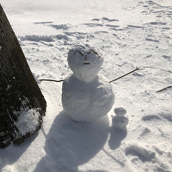 심한 폭설도 즐겁게 이겨내려한 제주인들 작품 - 인스티즈(instiz) 이슈 카테고리