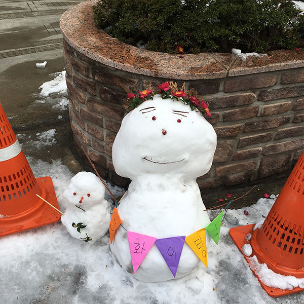 심한 폭설도 즐겁게 이겨내려한 제주인들 작품 - 인스티즈(instiz) 이슈 카테고리