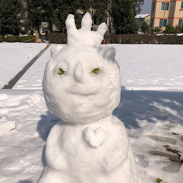 심한 폭설도 즐겁게 이겨내려한 제주인들 작품 - 인스티즈(instiz) 이슈 카테고리