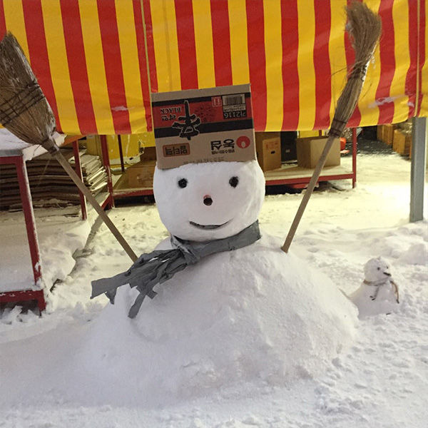 심한 폭설도 즐겁게 이겨내려한 제주인들 작품 - 인스티즈(instiz) 이슈 카테고리