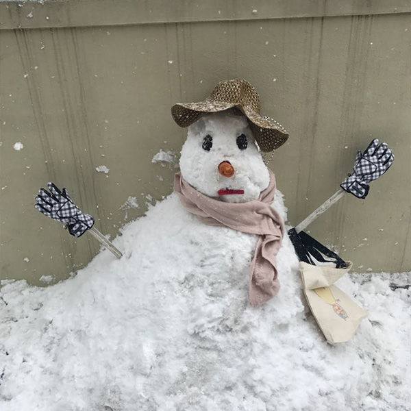 심한 폭설도 즐겁게 이겨내려한 제주인들 작품 - 인스티즈(instiz) 이슈 카테고리