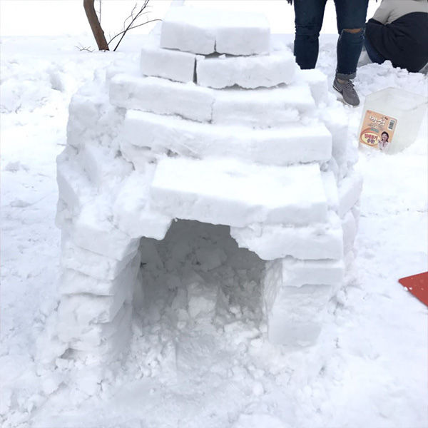 심한 폭설도 즐겁게 이겨내려한 제주인들 작품 - 인스티즈(instiz) 이슈 카테고리