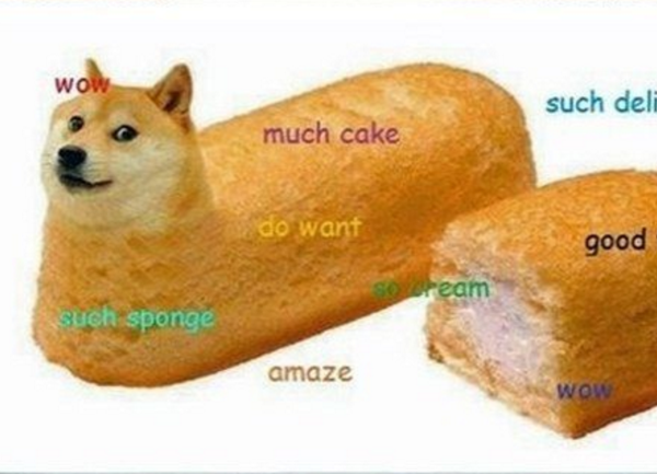 시바견(Shibe Doge) 짤 모음 - Study For Us