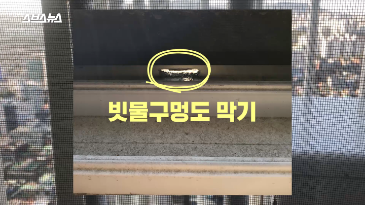 치약으로 모기 잡기 진짜 가능한 거야? : 네이버 포스트