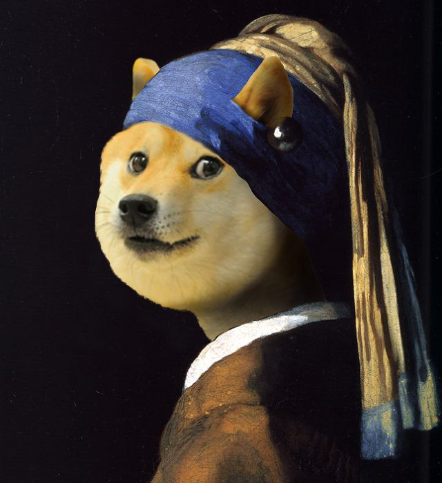 시바견(Shibe Doge) 짤 모음 - Study For Us