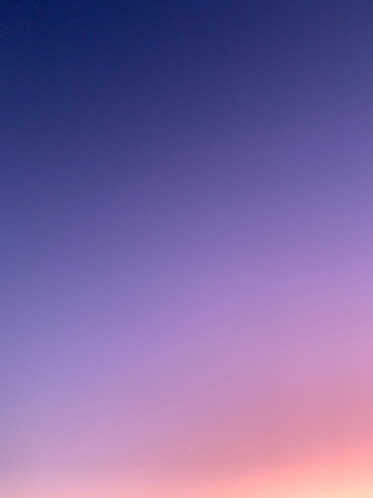 [iOS] UITextField placeholder color 변경하기 — 코찐 기술 블로그