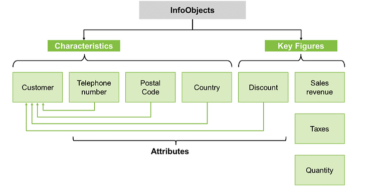 [SAP BW] InfoObject — young Camilla