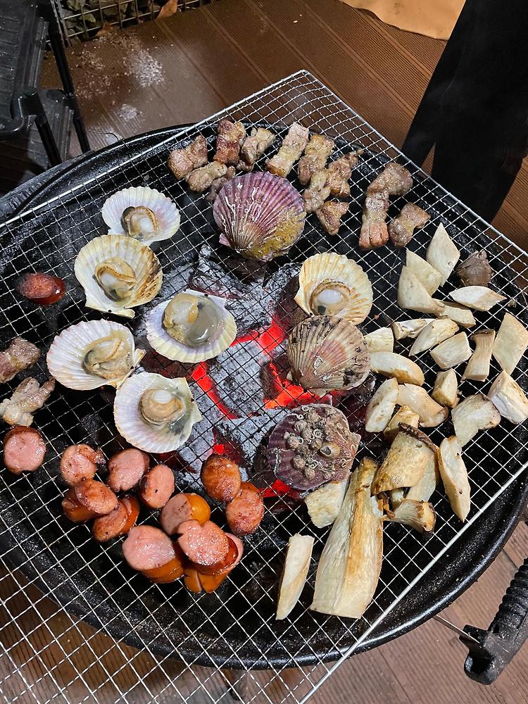 DGIST 하계 인턴 프로그램 스펙, 후기, 장단점 등 :: fungus