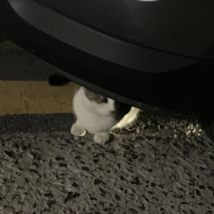 '💻 Computer/🦀 Java' 카테고리의 글 목록