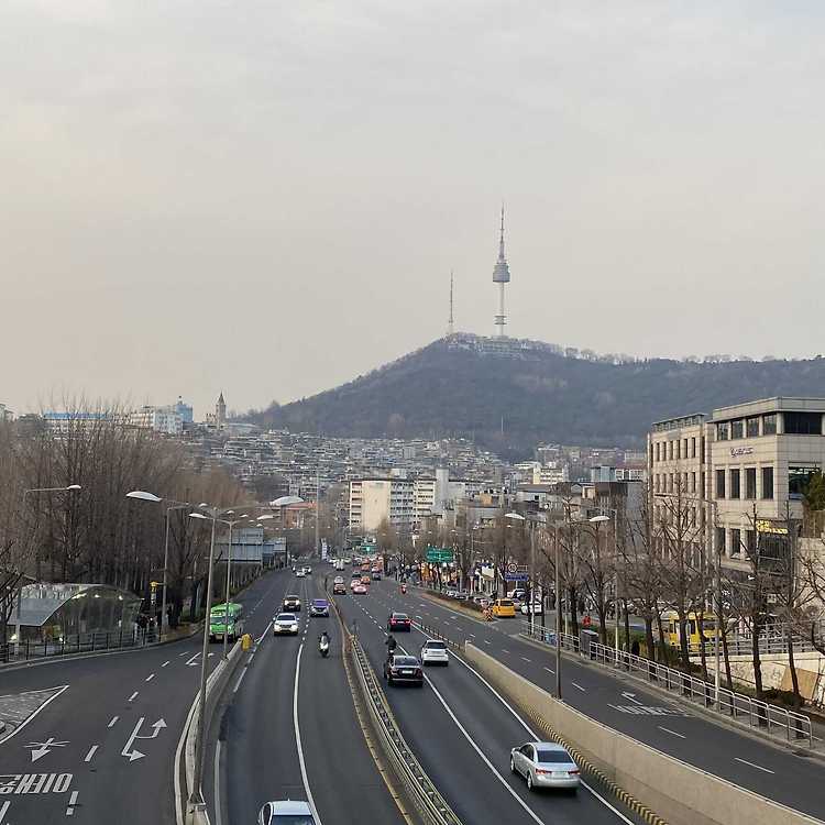 [Python] BOJ 10816 숫자 카드 2