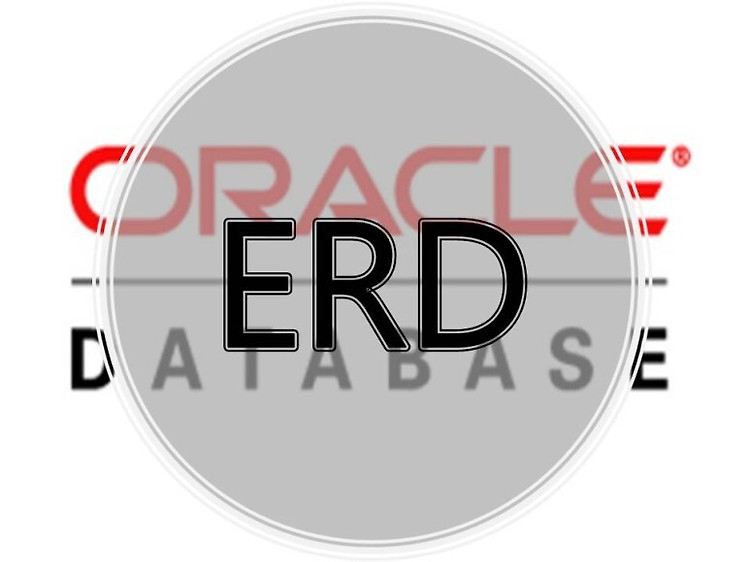 [ORACLE] ERD — 공부하는 개발자 강씨네