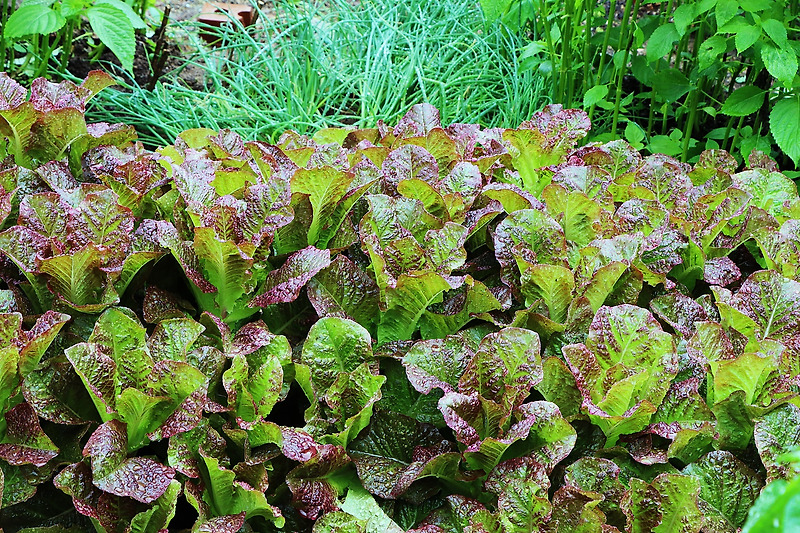 가을의 끝자락에서