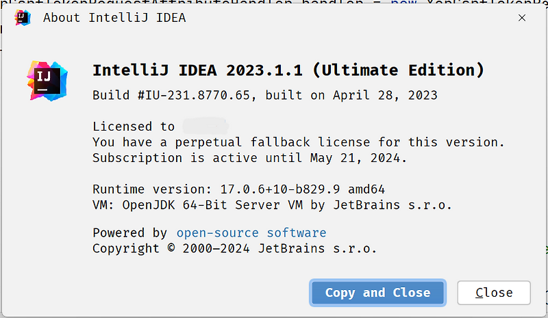 [Dev Environment] Intellij 영구 폴백 라이선스 사용하기 (Fallback License)