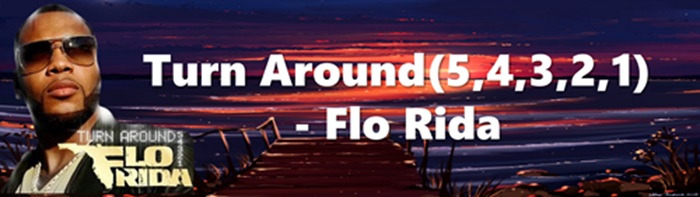 Turn Around (5,4,3,2,1) - Flo Rida(플로라이다)의 가사 해석 리뷰