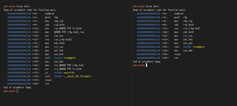 Stack Canary :: 기록