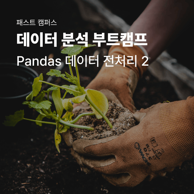 Pandas 날짜 다루기 사용자 정의 함수 적용하기 데이터 결합하기 — Datarium 