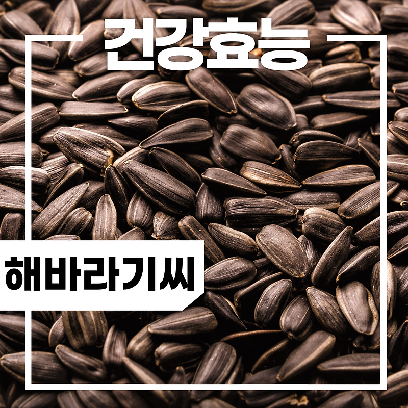 해바라기씨 효능 부작용 칼로리 하루 섭취량 먹는법까지 알아보기