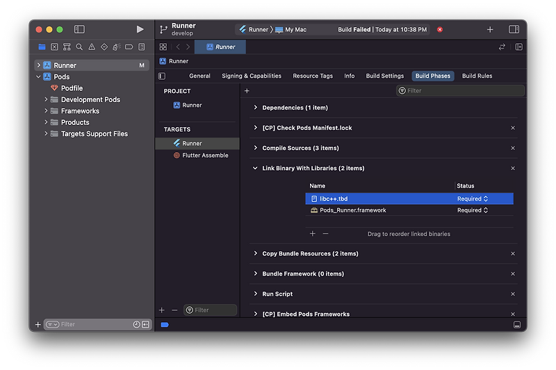 Flutter 에서 bitsdojo_window 빌드 오류 해결 방법