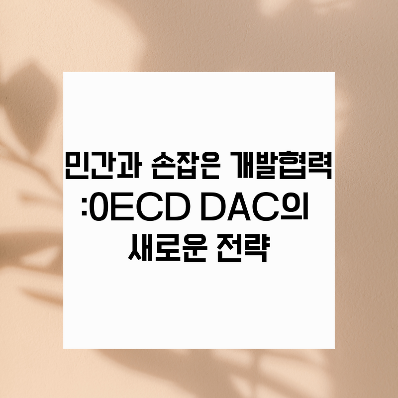 민간과 손잡은 개발 협력: OECD DAC의 새로운 전략 / Partnering with the Private Sector: OECD DAC’s New Strategy
