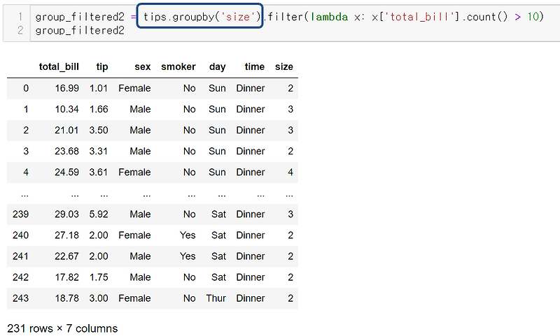 판다스 - groupby : apply, filter 등 주의할 점