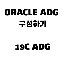 Min's 일상생활 이야기 :: Oracle ADG 구성하기 Feat.Active Data Guard Set and Config