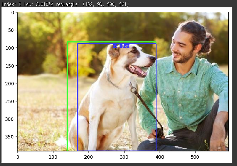 [OpenCV] 이미지에 Selective Search 적용하고 IoU 계산해보기