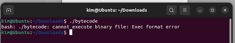 [openecsc2024]rev - fsvm (2)