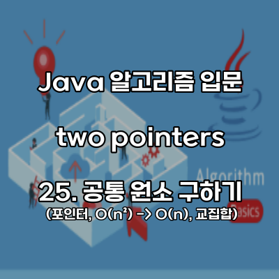 자바(Java) 알고리즘 문제풀이 입문: 코딩테스트 대비(two pointers_공통 원소 구하기)