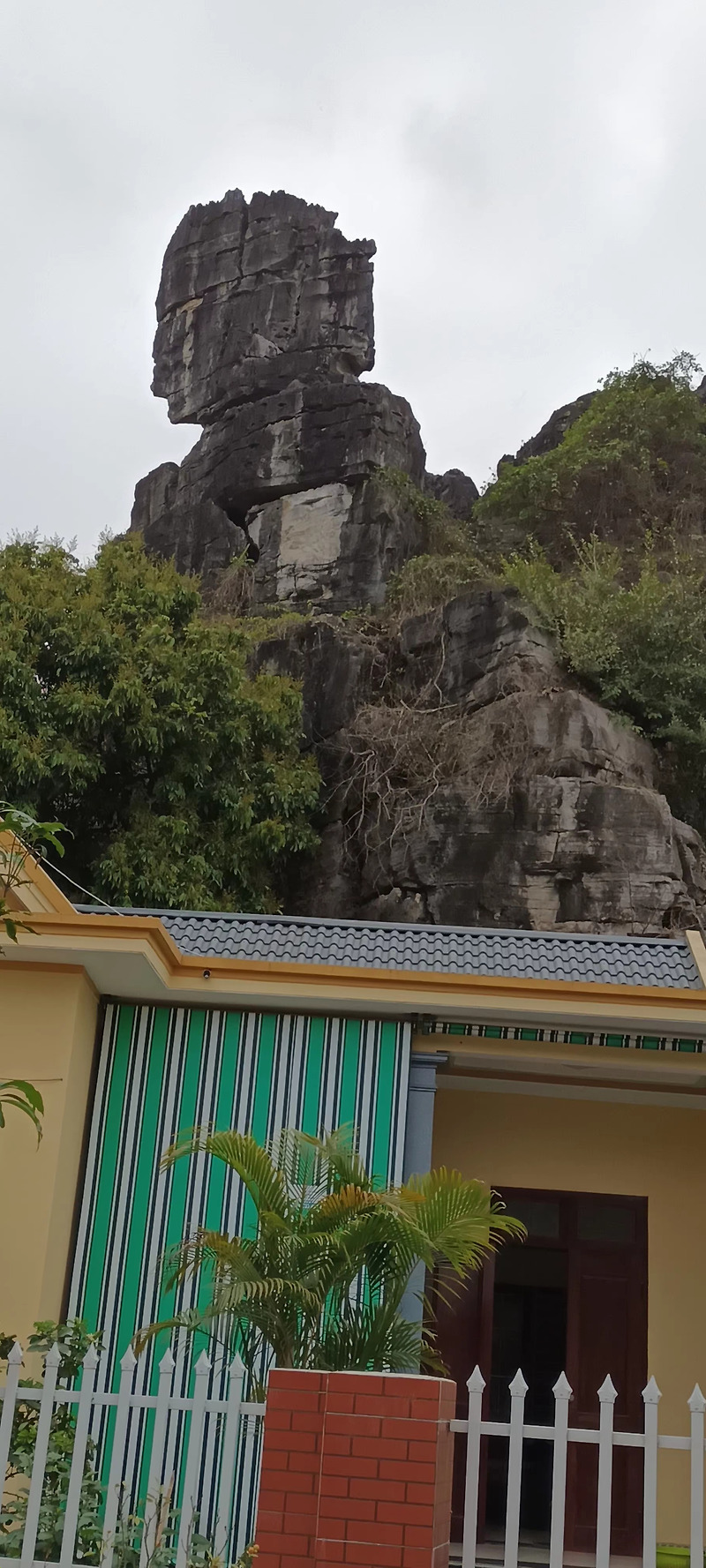 너무나 정겨운 토요일 오후의 시골풍경