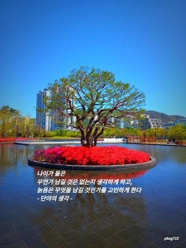 단야의 생각과 침묵 효과(MUM Effect)