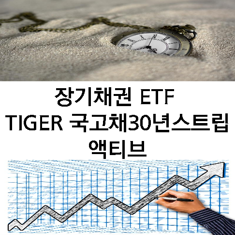 장기채권 ETF TIGER 국고채30년스트립액티브 배당금 및 종목분석