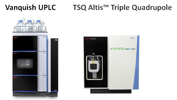 Thermo high-flow Vanquish UPLC 와 TSQ Altis™ Triple Quadrupole을 이용하여 20 ...