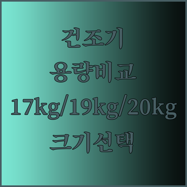 건조기 17kg 19kg 20kg 용량 비교 분석 어떤 크기가 좋을까요?