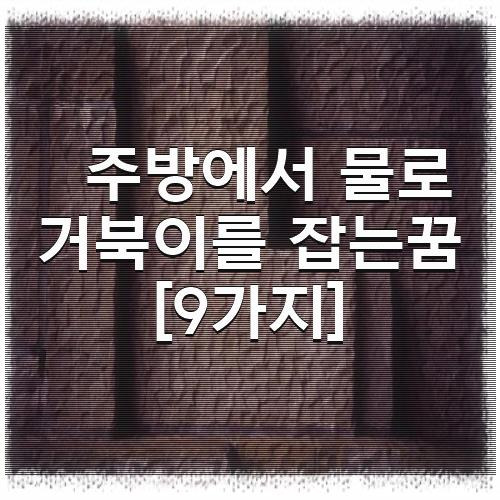 주방에서 물로 거북이를 잡는꿈 [9가지]