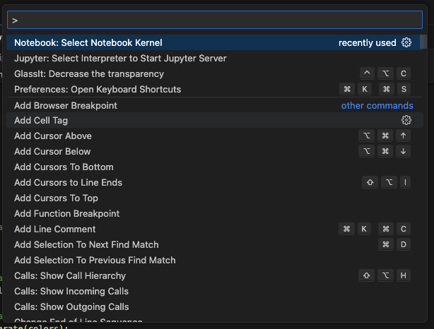 Vscode jupyter notebook kernel 무한로딩 에러 :: NotStoneSeok
