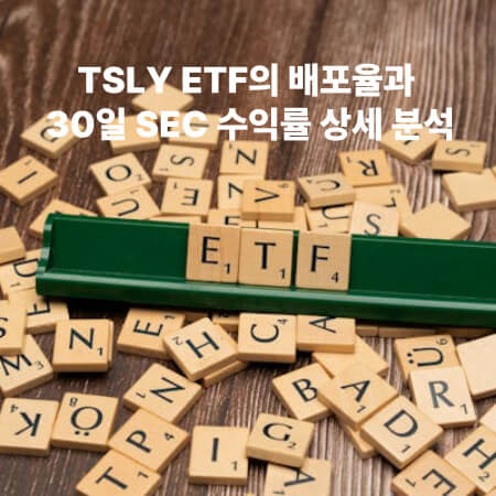 TSLY ETF의 배포율과 30일 SEC 수익률 상세 분석