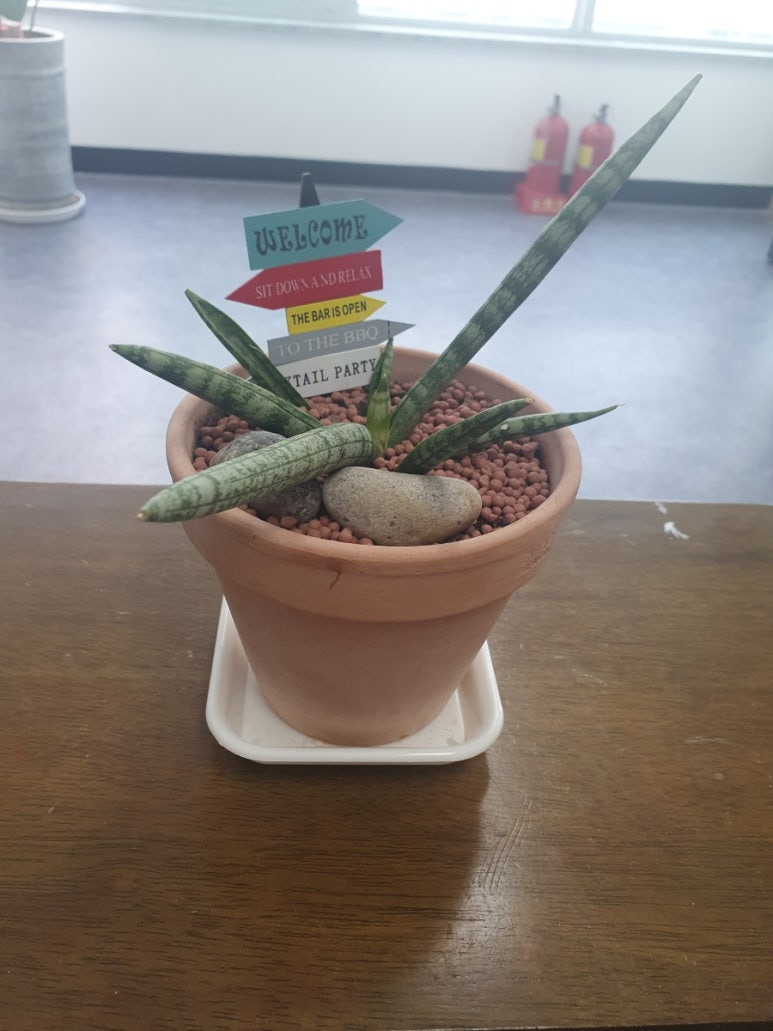 제 자랑(의뢰인의 칭찬)