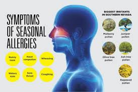 Symptoms and Management of Allergic Rhinitis