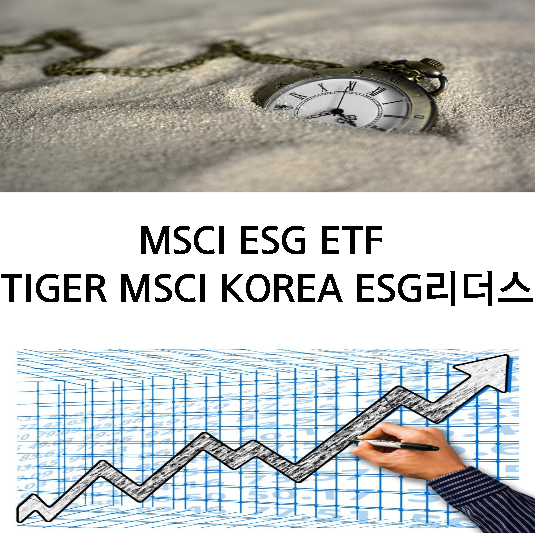 MSCI ESG ETF TIGER MSCI KOREA ESG리더스 배당금 및 종목분석