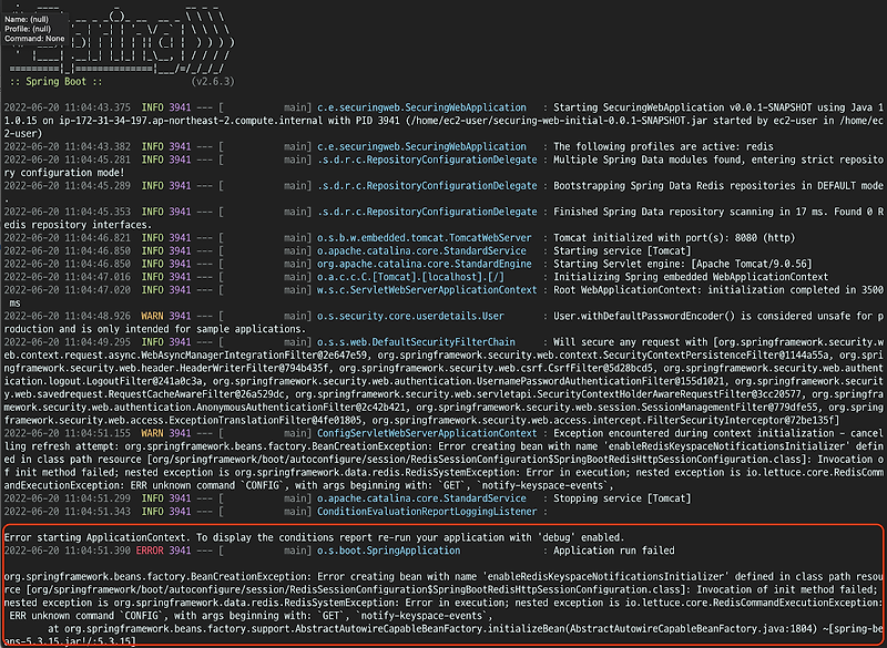 AWS ElastiCache for Redis - Spring Boot 연동 오류 :: Yes, I am YOUNG.